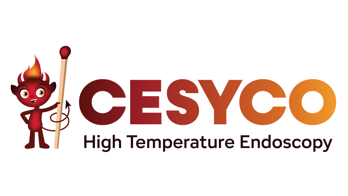 CESYCO Participates in Pollutec 2025: Focus on Urban Waste Incinerator ...